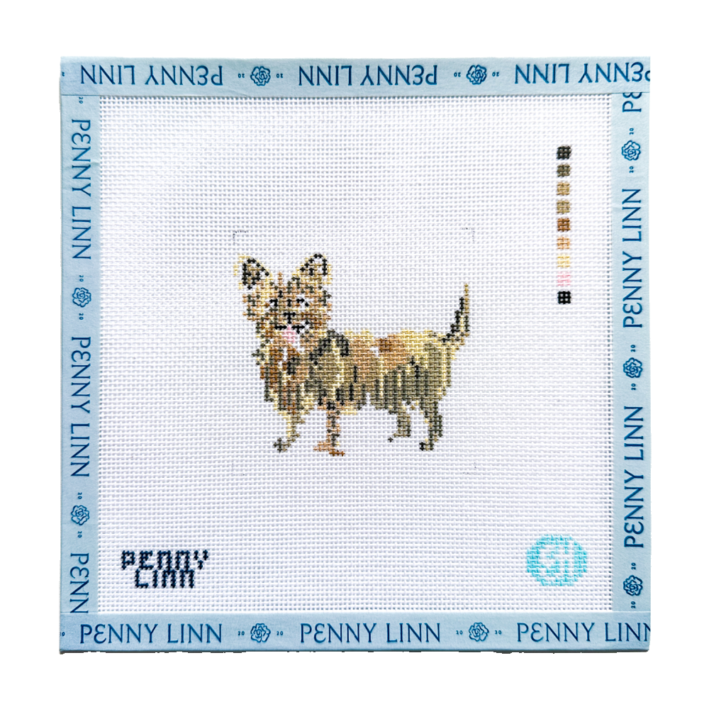 Yorkie – Penny Linn