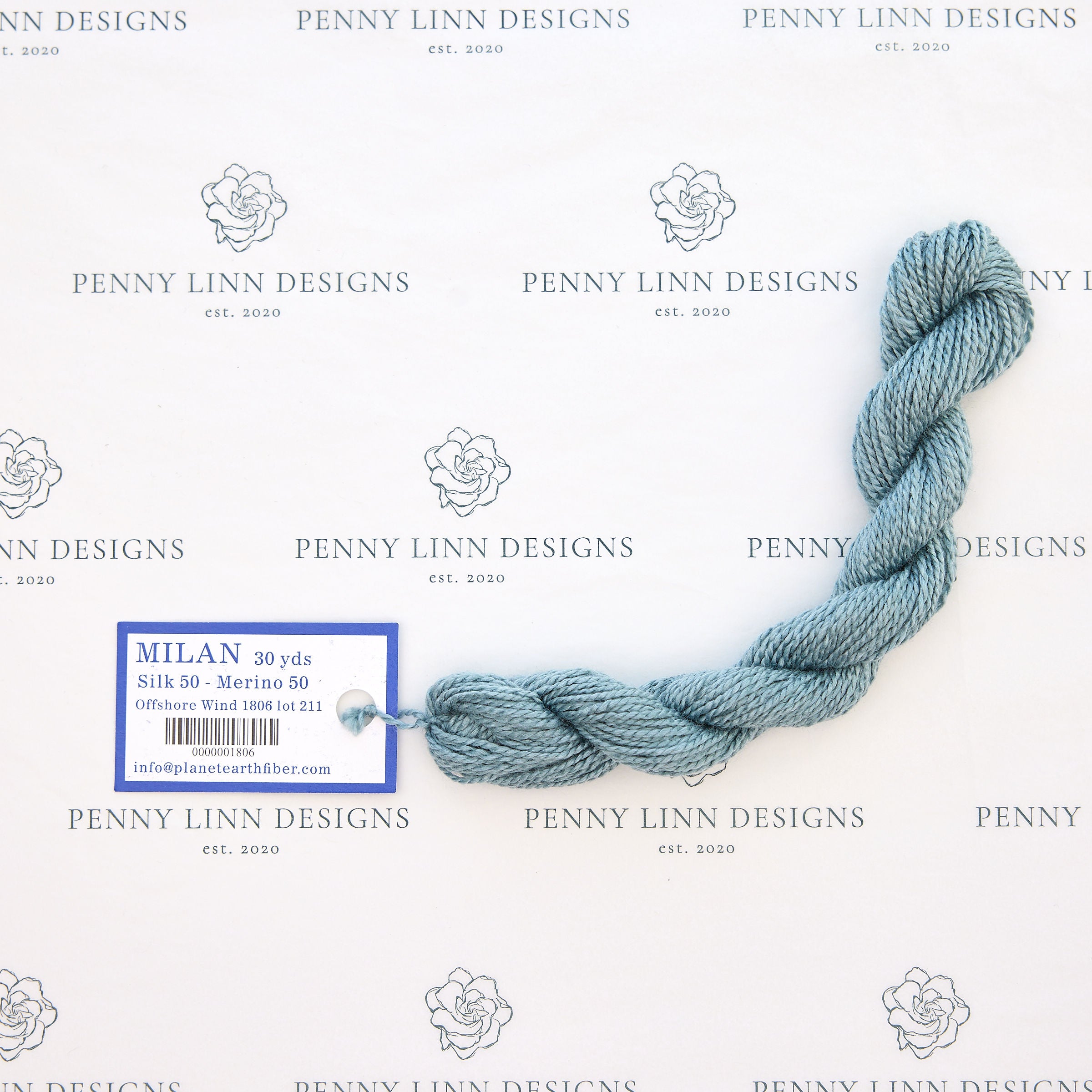 planet earth milan thread needlepoint – Penny Linn