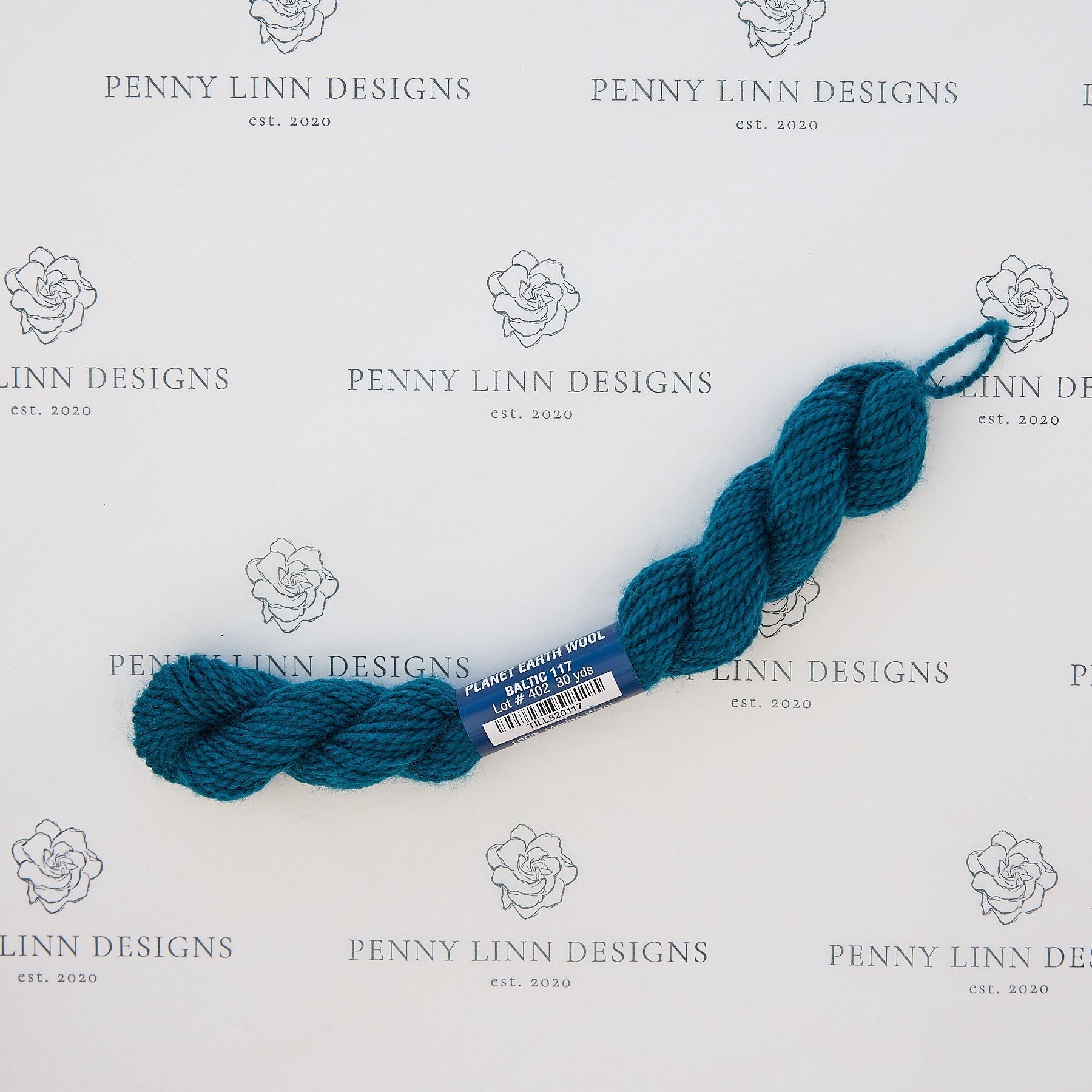 planet earth wool thread needlepoint – Penny Linn