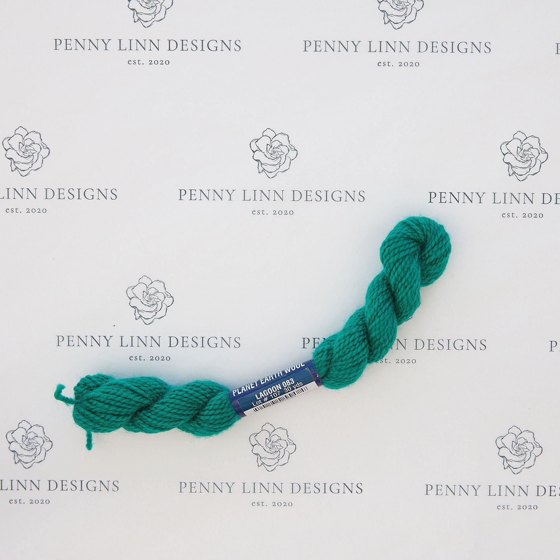 planet earth wool thread needlepoint – Penny Linn