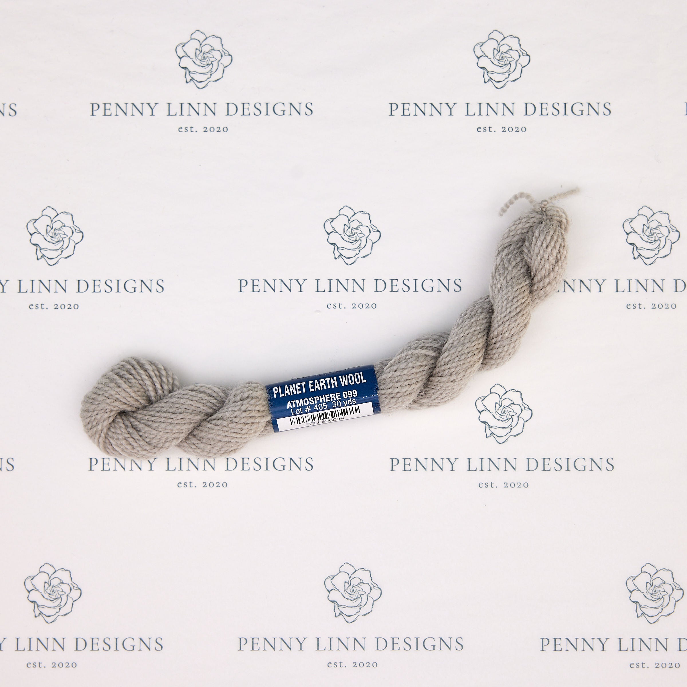 planet earth wool thread needlepoint – Penny Linn