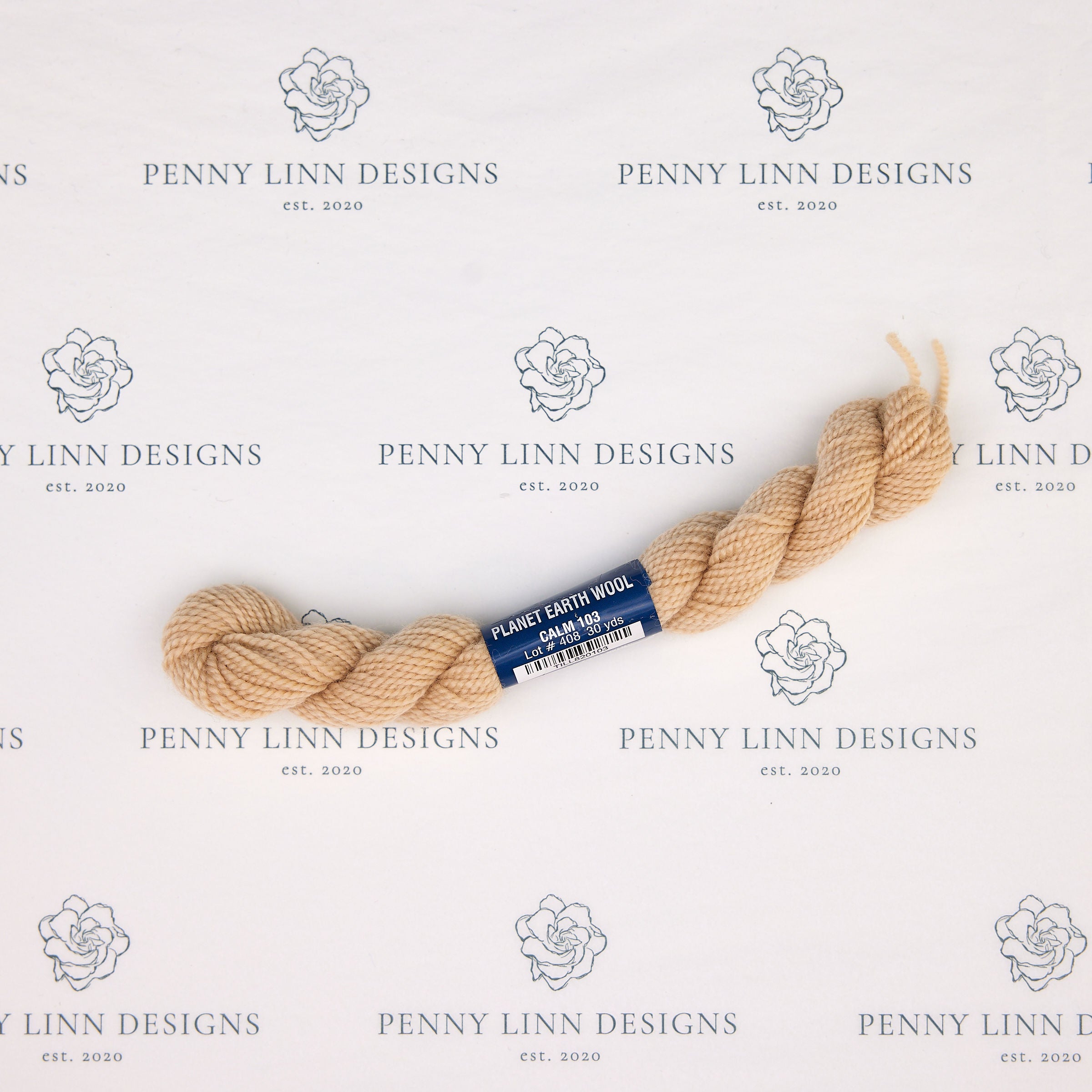 planet earth wool thread needlepoint – Penny Linn