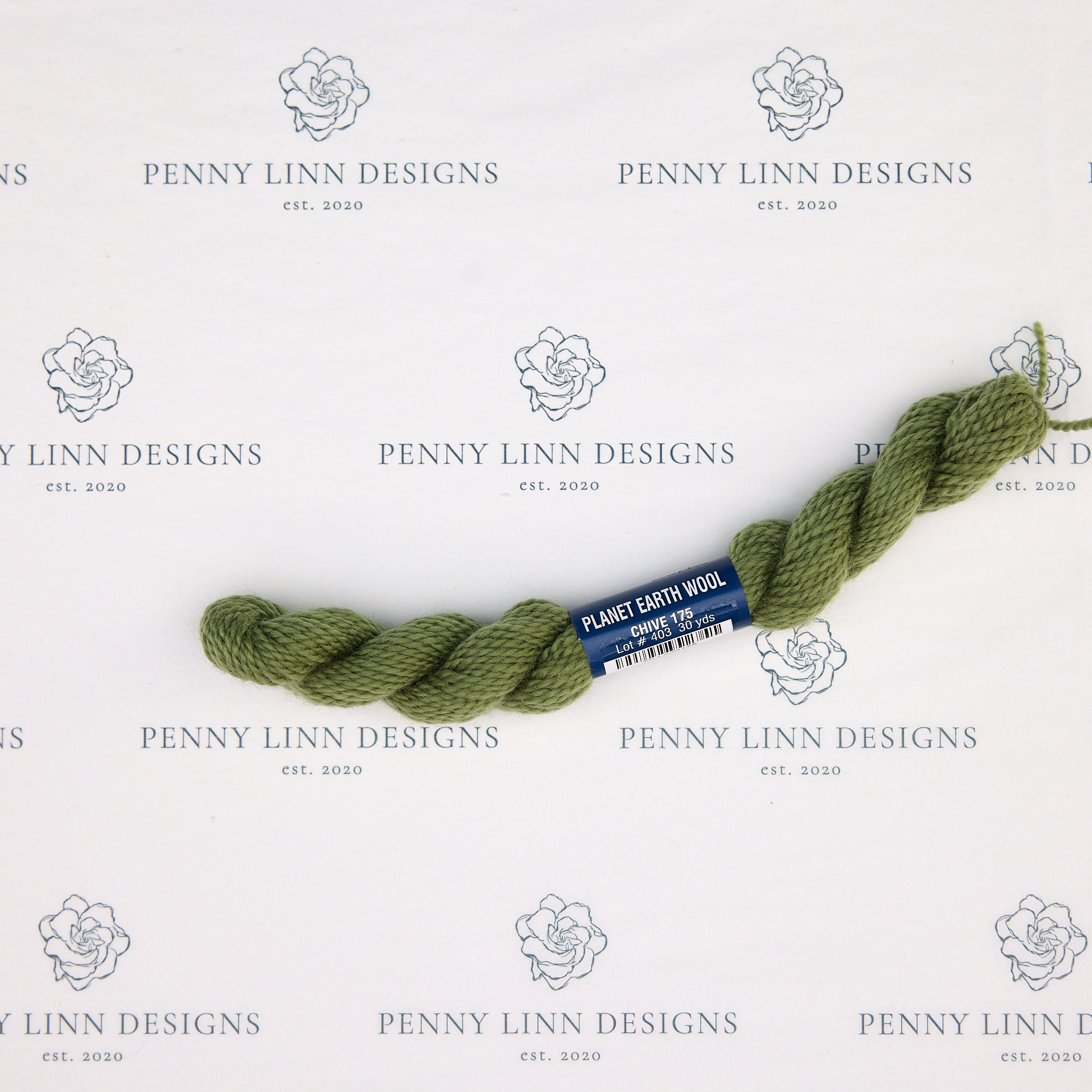 planet earth wool thread needlepoint – Penny Linn