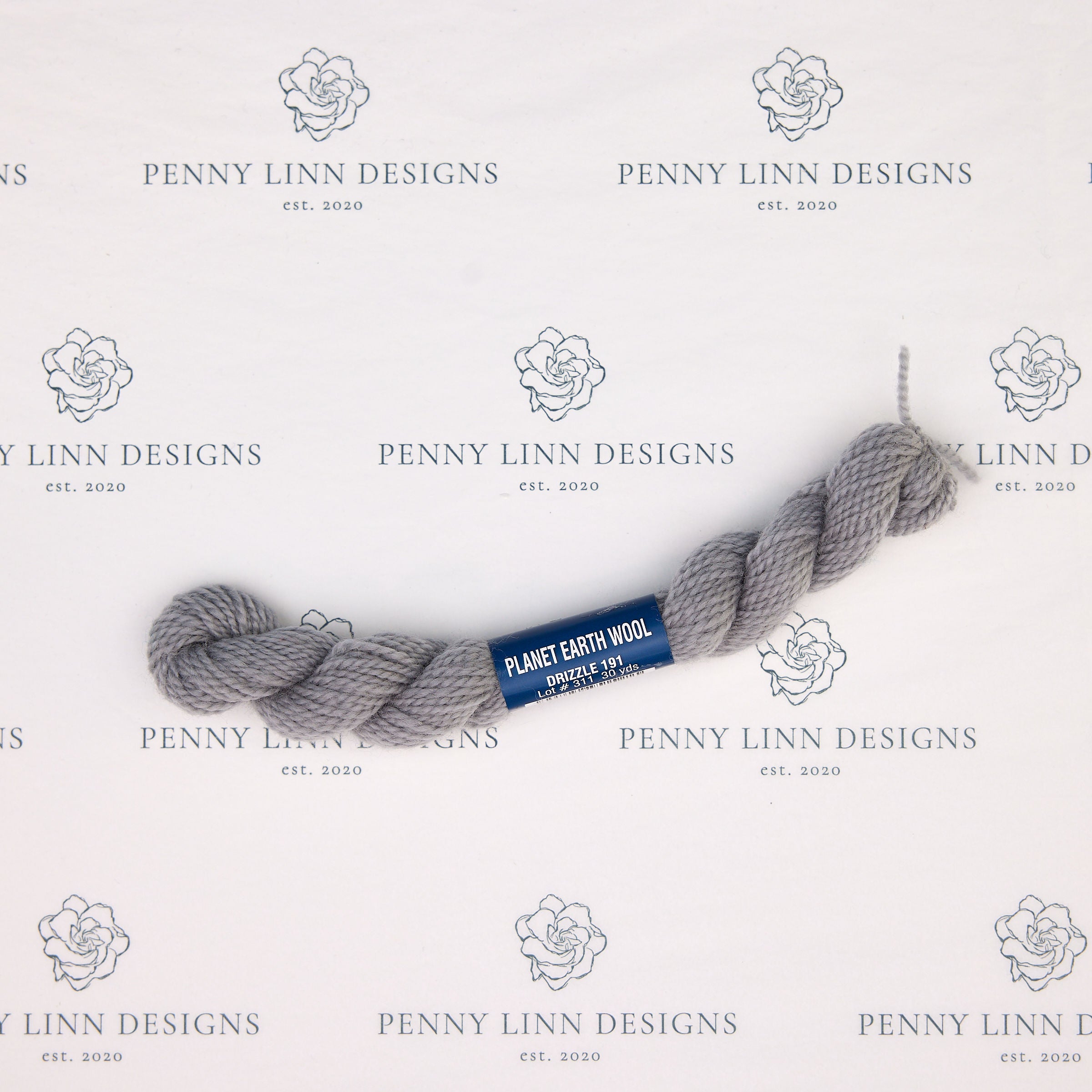 planet earth wool thread needlepoint – Penny Linn