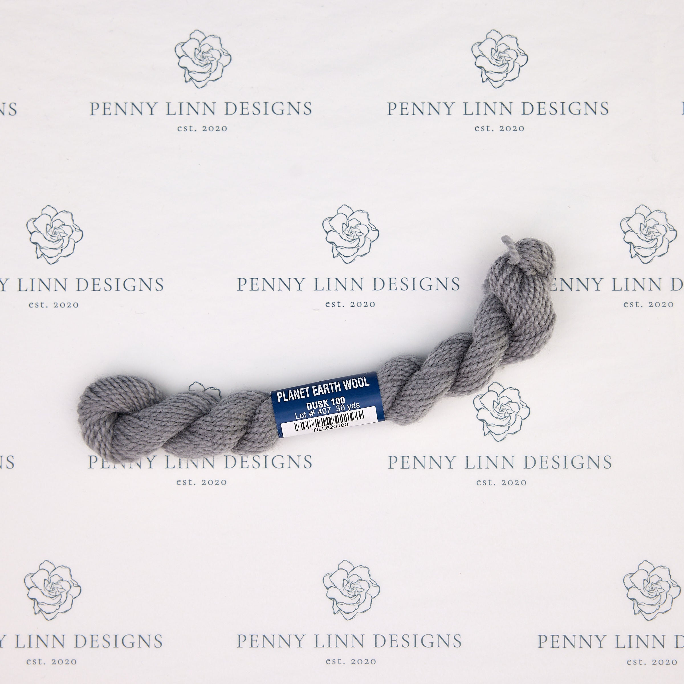 planet earth wool thread needlepoint – Penny Linn