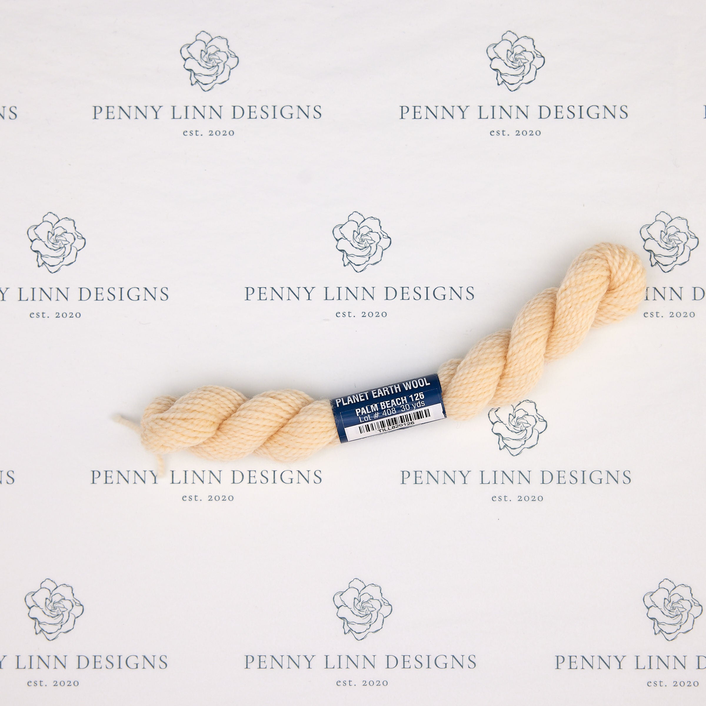 planet earth wool thread needlepoint – Penny Linn