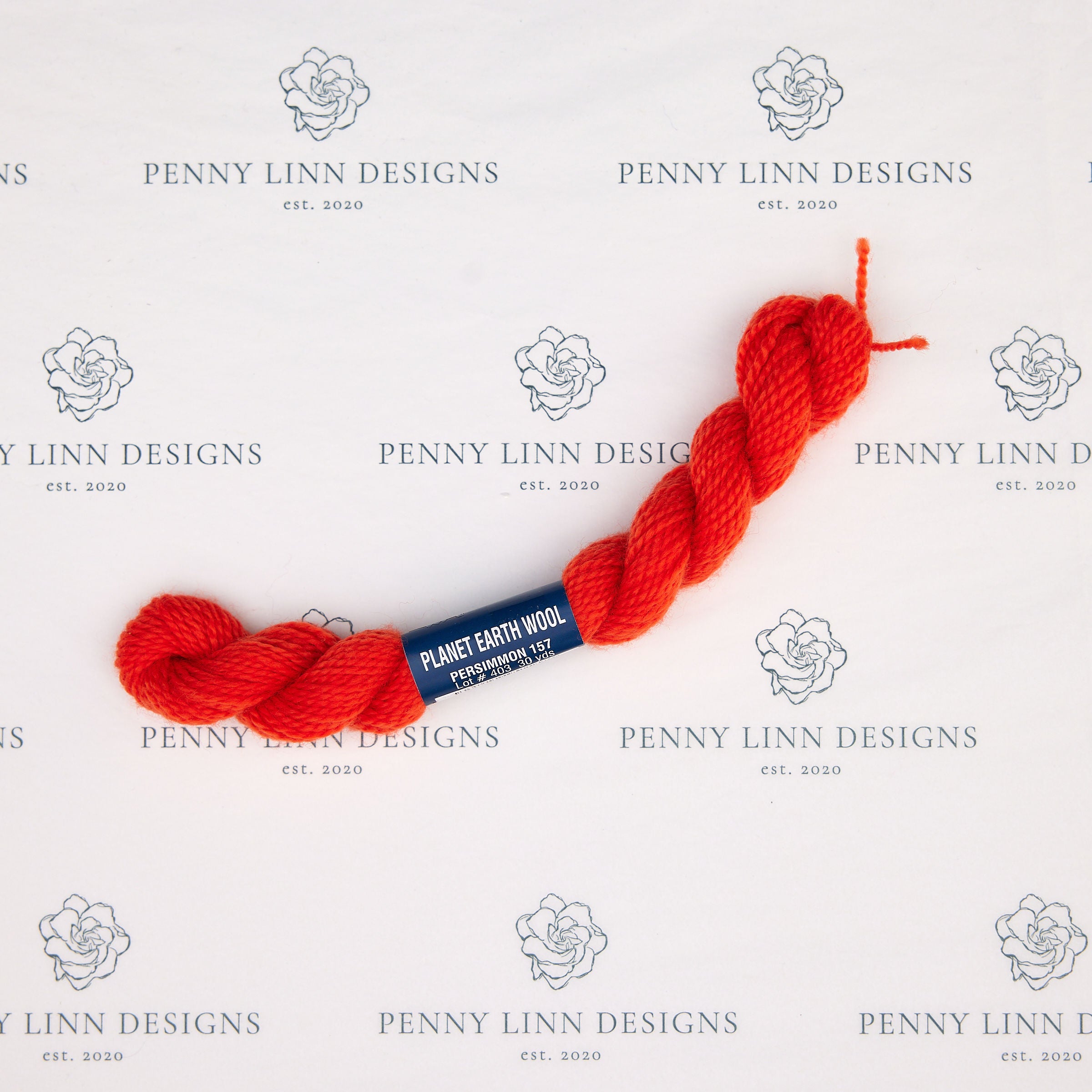 planet earth wool thread needlepoint – Penny Linn