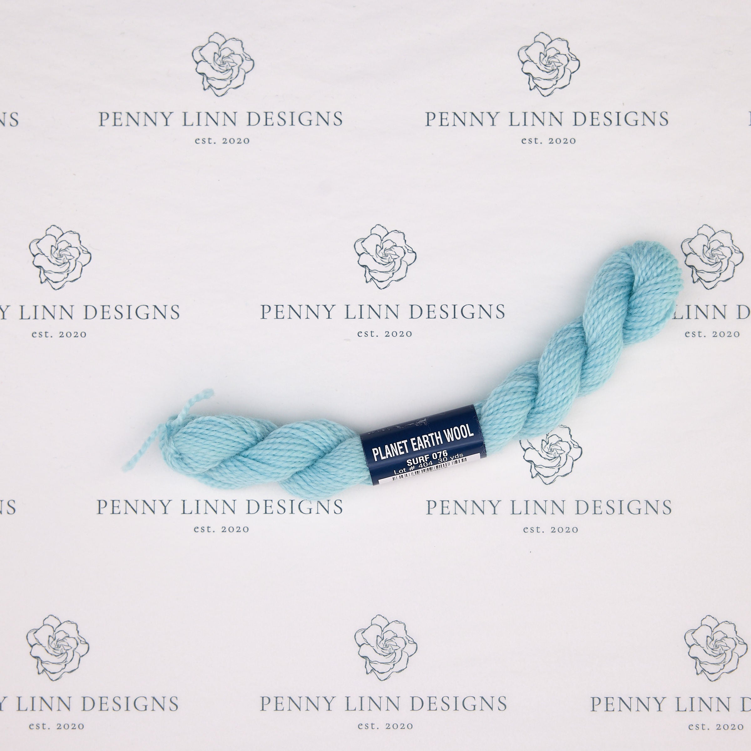 planet earth wool thread needlepoint – Penny Linn