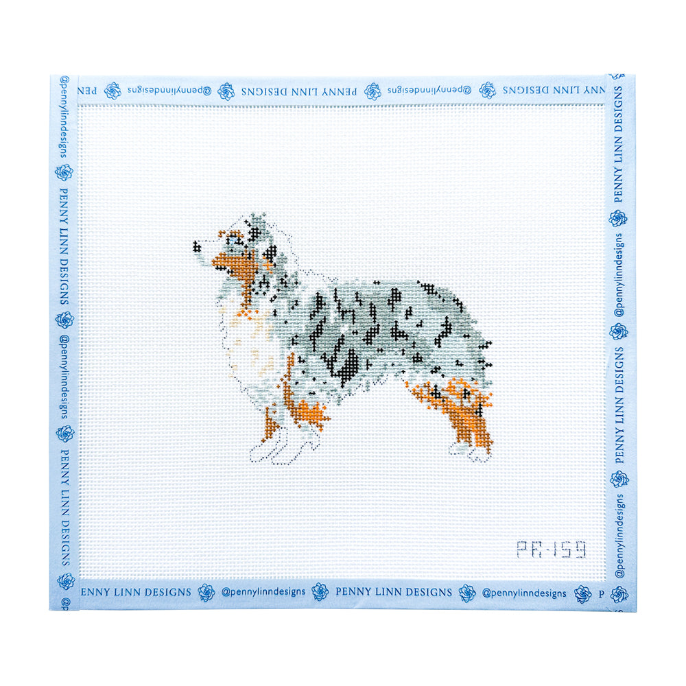Australian Shepherd – Penny Linn
