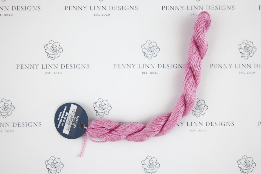 planet earth silk thread needlepoint – Penny Linn